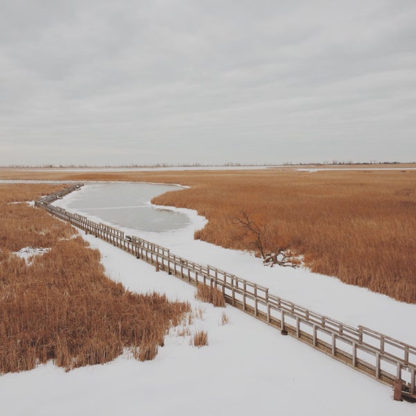 Point Pelee National Park - Campground