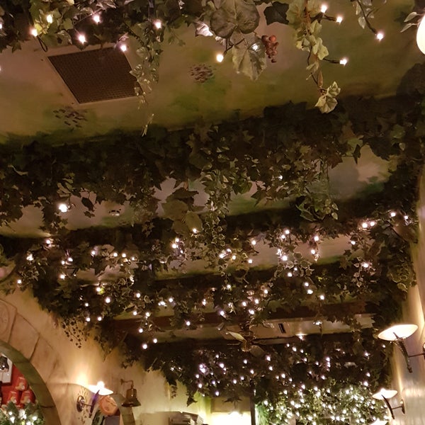 Spaghetti Tree - Italian Restaurant