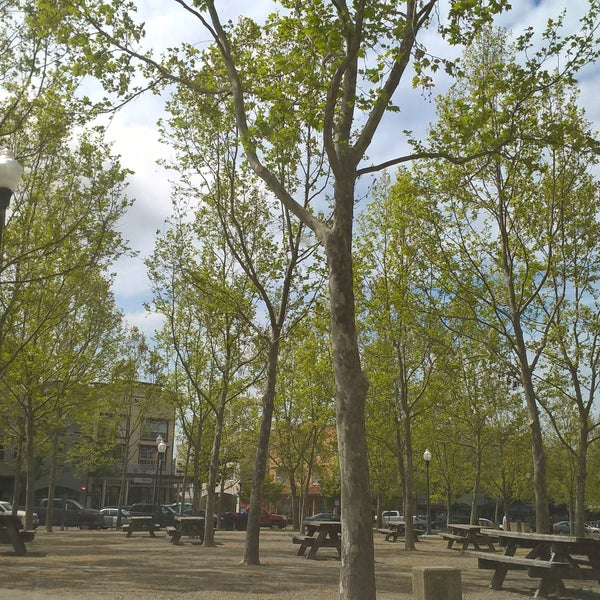 Photos at Windsor Town Green - Plaza