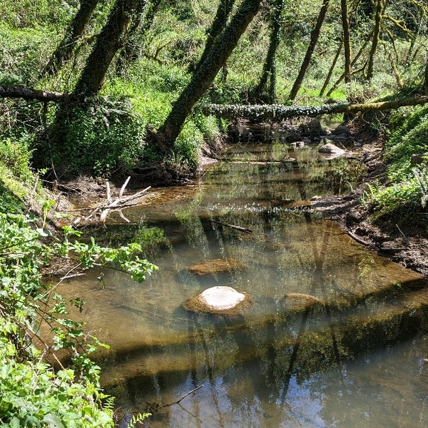 Photos at Tryon Creek State Park - State / Provincial Park in Portland