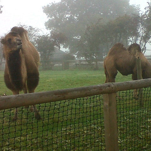 Yorkshire Wildlife Park - Zoo in Doncaster