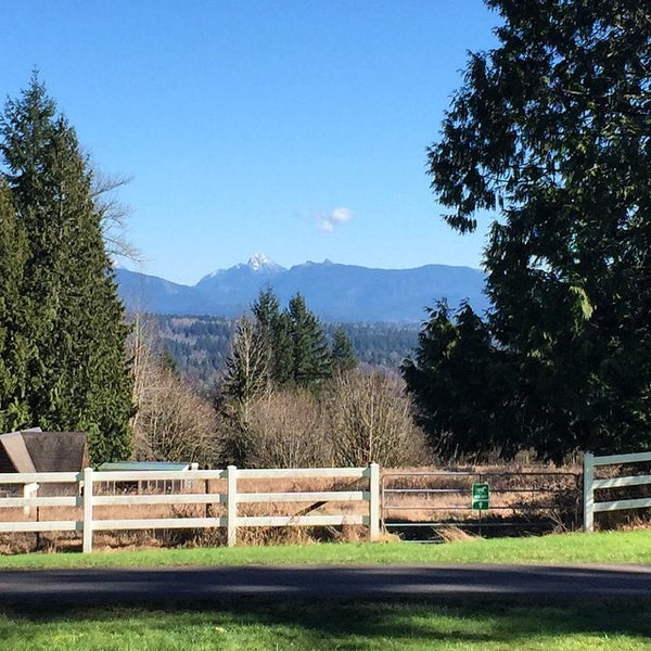 Photos at Tolt Pipeline Trail - Hiking Trail