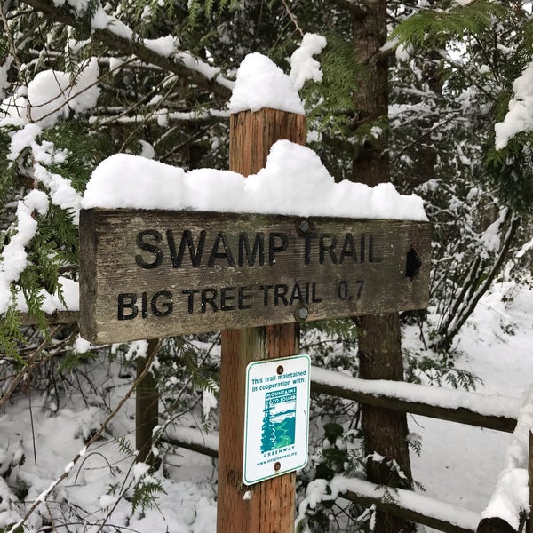 West Tiger Mountain Tradition Plateau - Issaquah, WA