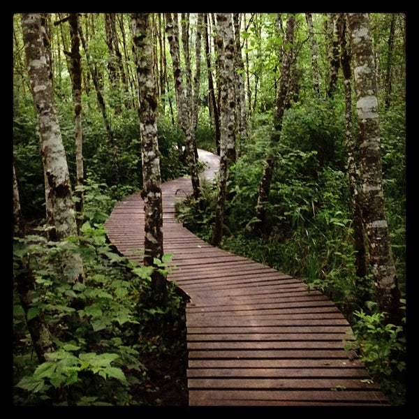 Duthie Hill Mountain Bike Park - 19 tips from 547 visitors