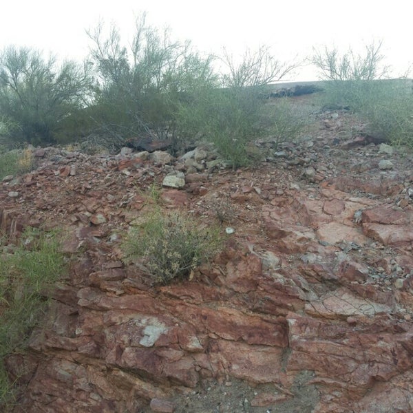 Cloud 9 Restaurant - North Mountain - Phoenix, AZ