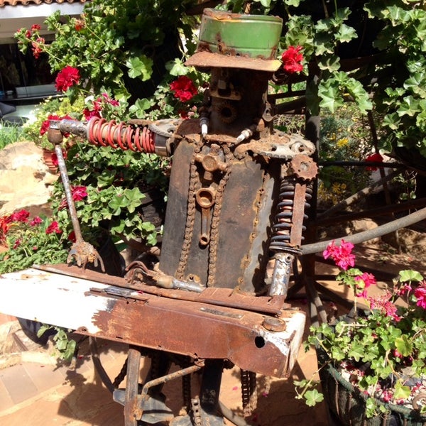 Zucchini - Grocery Store