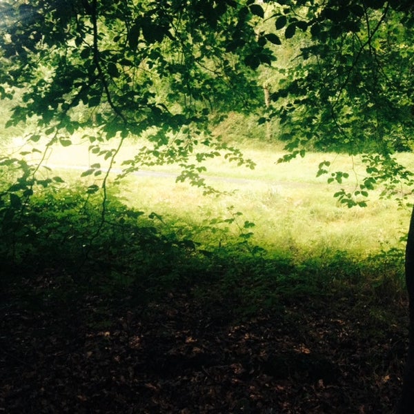 Donadea Forest Park - Donadea