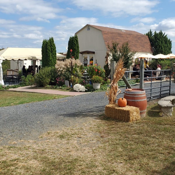 Photos at Three Fox Vineyards - Winery in Delaplane