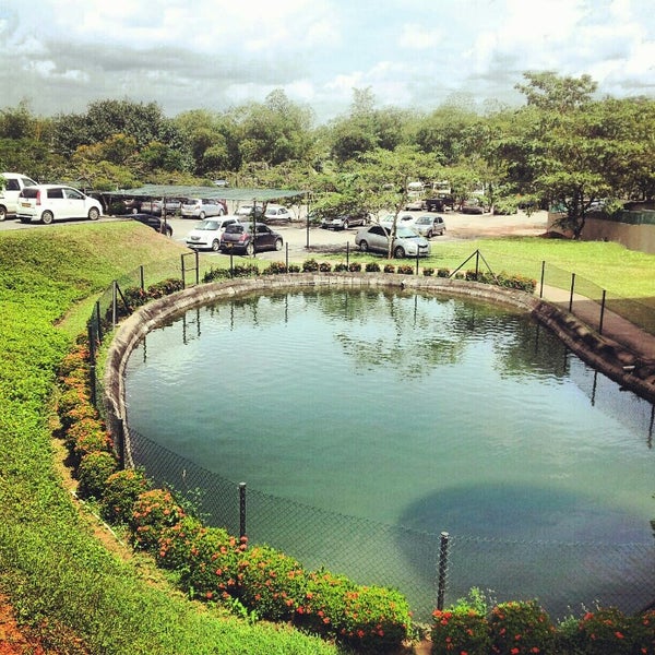 Millennium Information Technologies - IT Service in Malabe