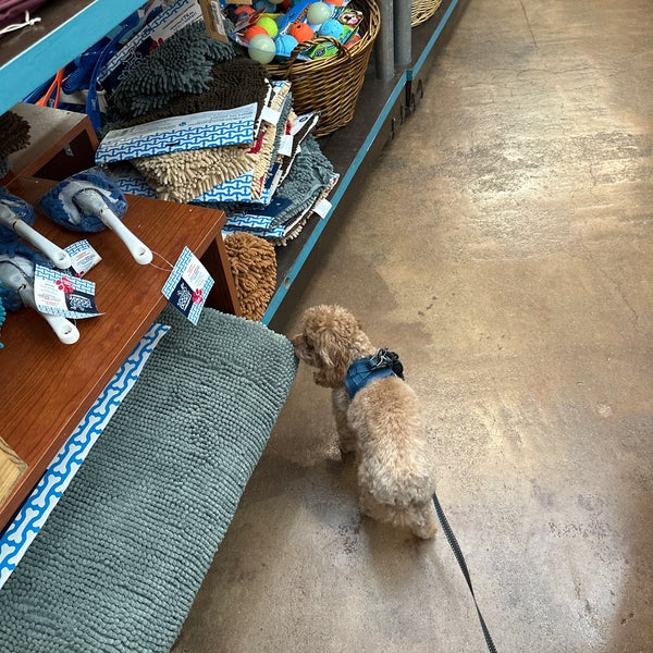 Hip Hound - Pet Supplies Store in Portland