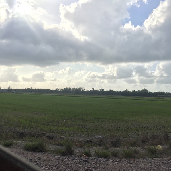 Depan Bendang Sawah Padi