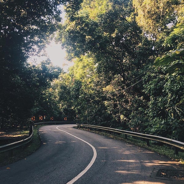Rifle Range Road Camp - Central Catchment Nature Reserve - 1 tip from ...