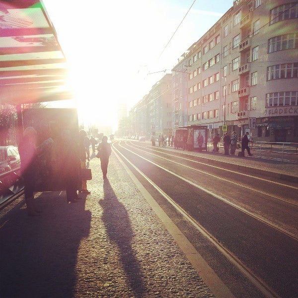 Flora (tram) - Praha 3 - Vinohradská