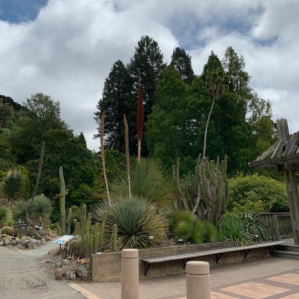 UC Berkeley Botanical Gardens - Botanical Garden in Berkeley