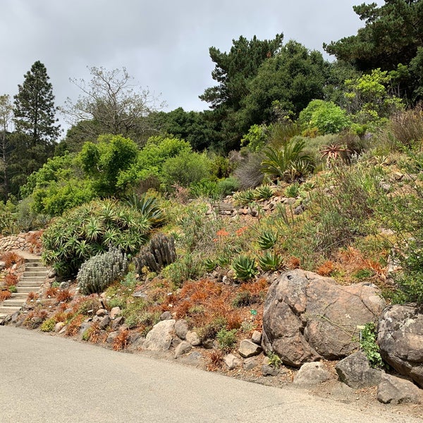 UC Berkeley Botanical Gardens - Botanical Garden in Berkeley