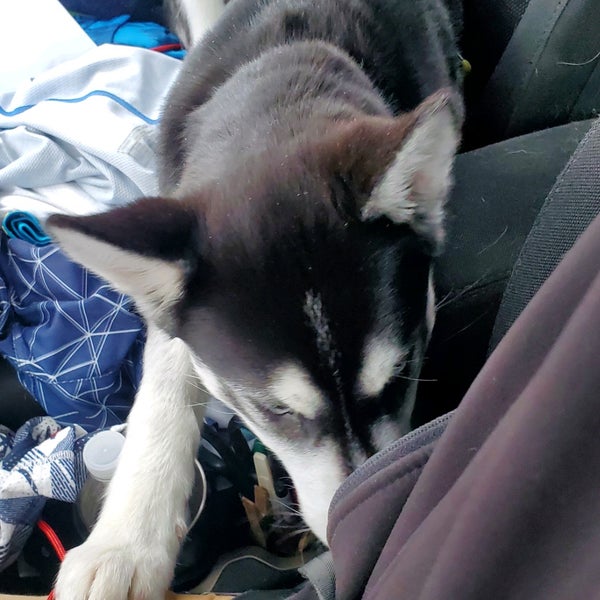 Photos at Lowe's - Rochester, NY