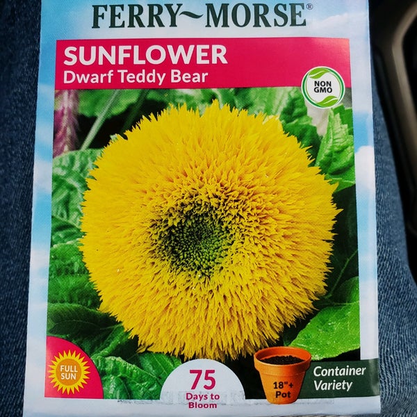 Photos at Lowe's - Rochester, NY