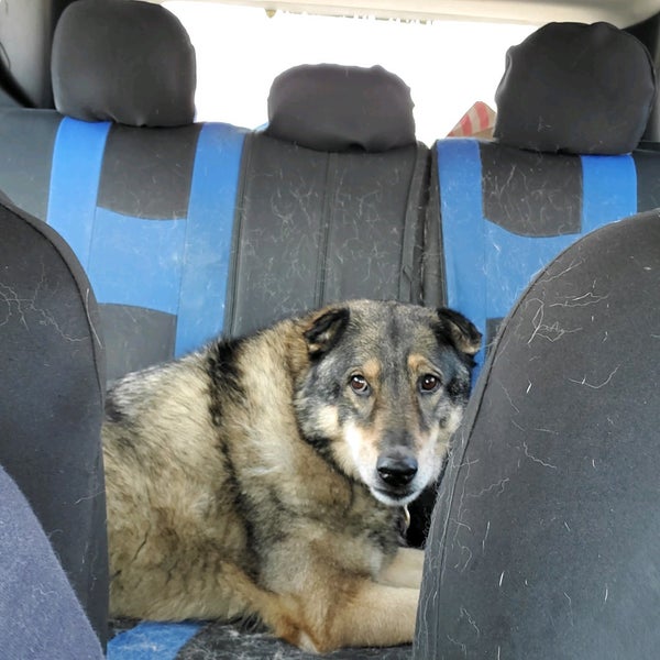 Target - Webster, NY