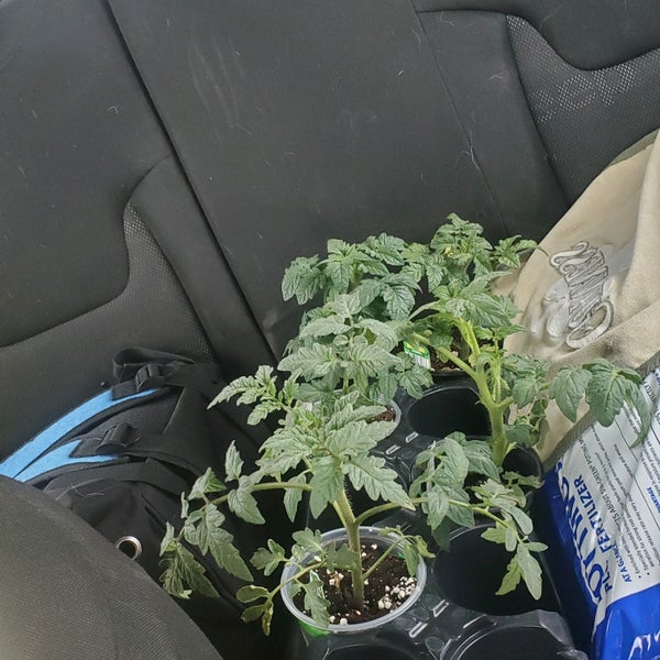 Photos at Lowe's - Rochester, NY