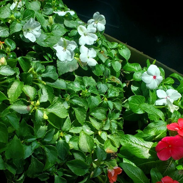 Photos at Lowe's - Rochester, NY