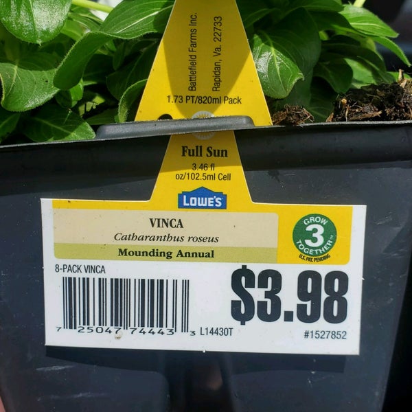 Photos at Lowe's - Rochester, NY