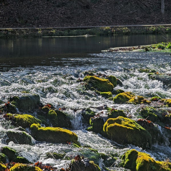 Meramec Springs State Park - 4 tips from 60 visitors