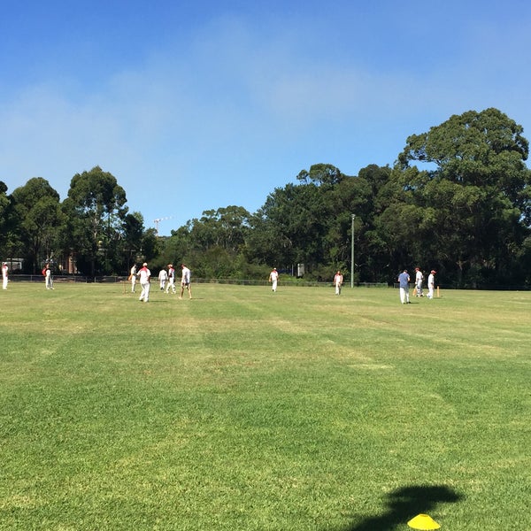 Princes Park Primula Oval - Ku-ring-gai - Sydney, NSW