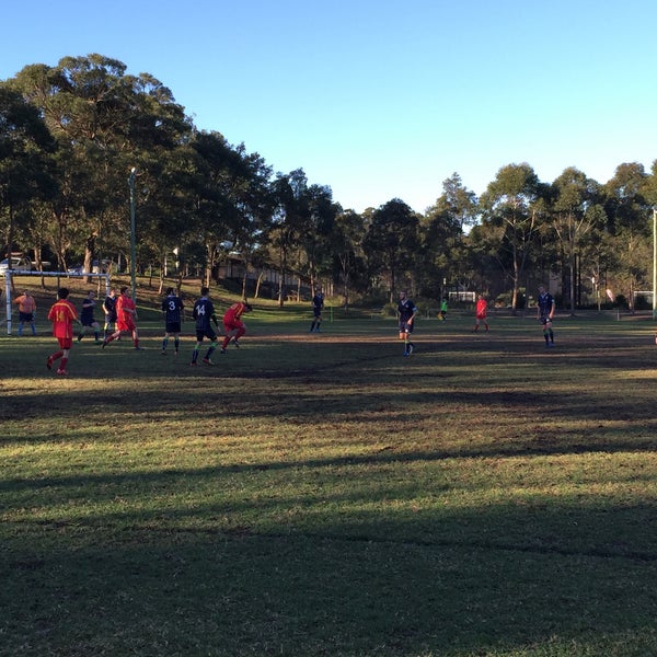Princes Park Primula Oval - Ku-ring-gai - Sydney, NSW
