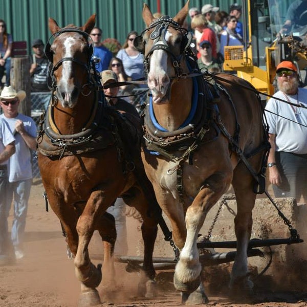 Durham Fair - Fair in Durham