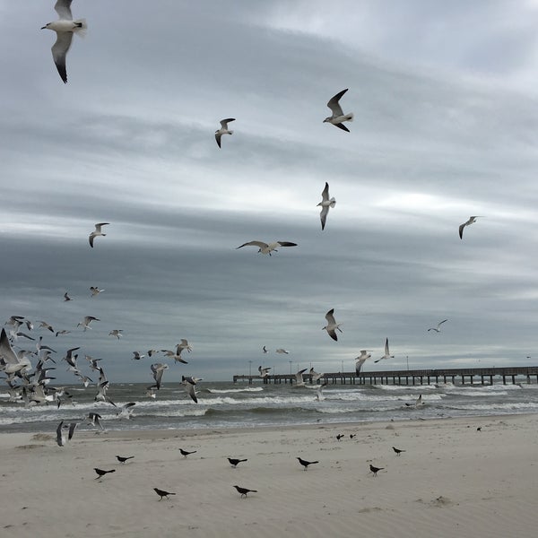 Photos at Whitecap Beach - Padre Island - Corpus Christi, TX