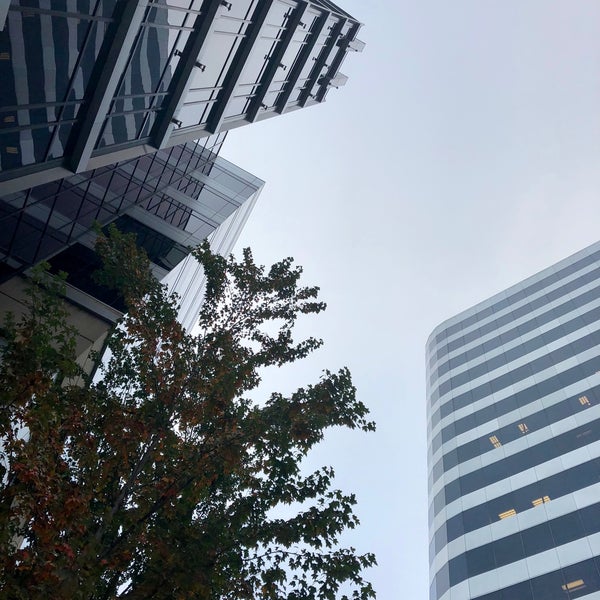 Amazon Mayday - Belltown - 3 tips