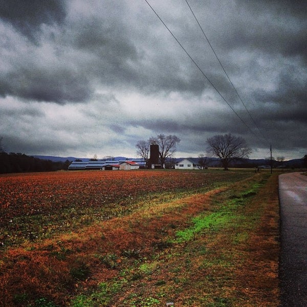 Southside , AL - 2 tips from 252 visitors