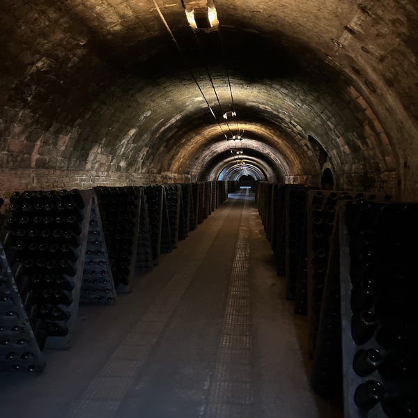 Caves Codorníu - 31 tips from 1882 visitors