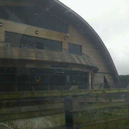Photos at The Blue Lagoon Water Park - Bluestone, Canaston Wood