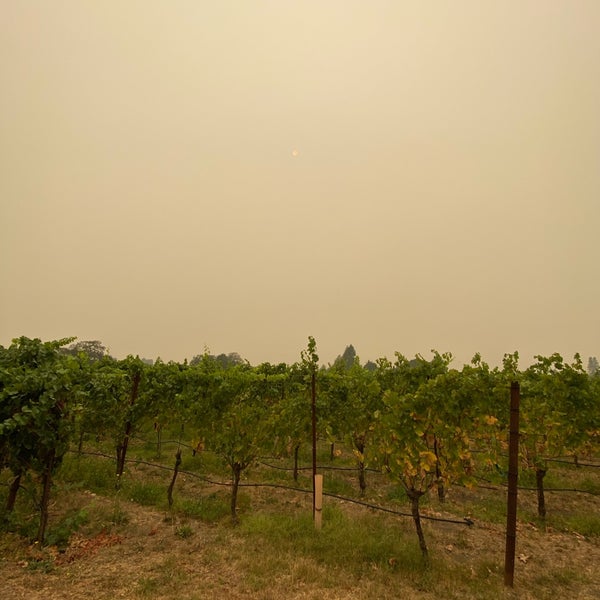 Inman Family - Winery in Santa Rosa