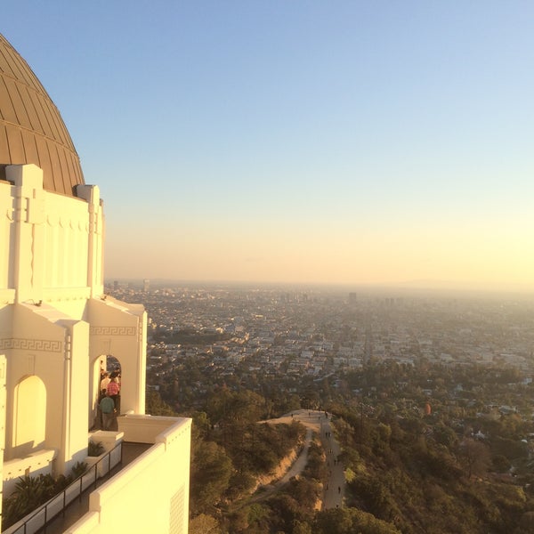 Photos at The George Harrison Tree - 2 tips