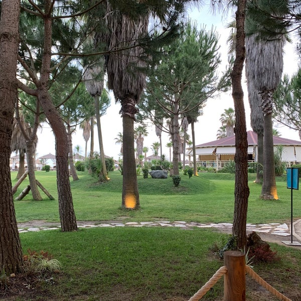 INSIFA Beach - Beach