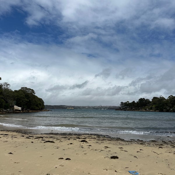 Little Manly Point - Stuart St