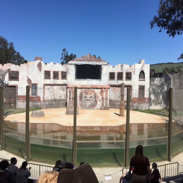 Odin's Temple of the Tiger - West Vallejo - 4 tips