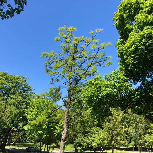 Colonel Danforth Park - Playground in Scarborough Village