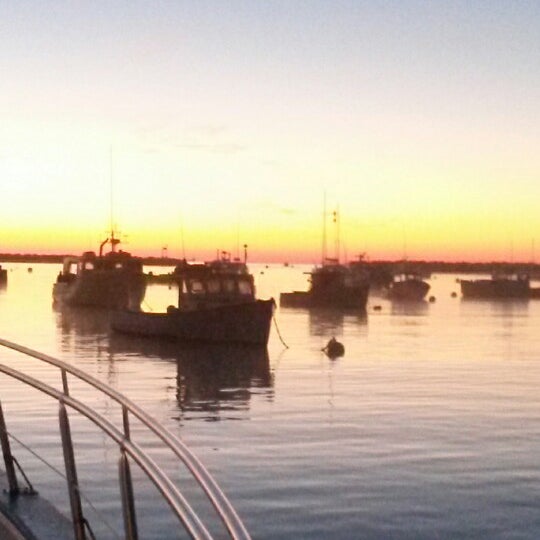 Granite State Whale Watch - Boat or Ferry in Rye
