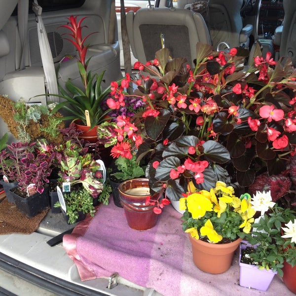 Kmart - 6 tips from 797 visitors