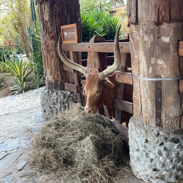 Parque Panaca - Amusement Park in Quimbaya