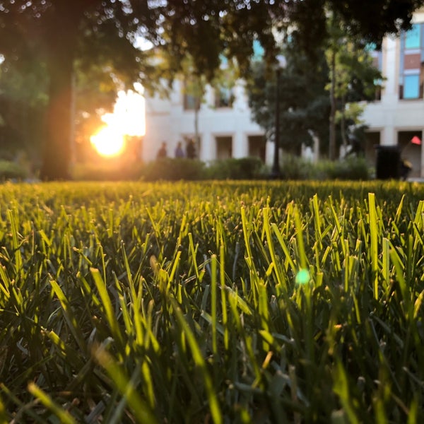 Littlefield Management Center - 365 Lasuen Mall