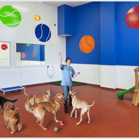 Paws and Play Pet Resort & Training Center - 1 tip
