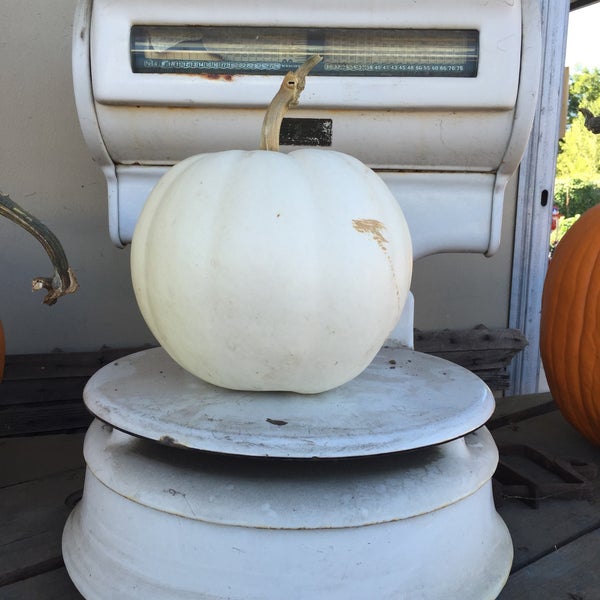 Zittel Farms - Farm in Folsom