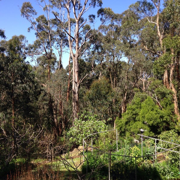 Ferntree Gully National Park - Burwood Hwy