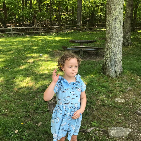 Gedney Park - Baseball Field