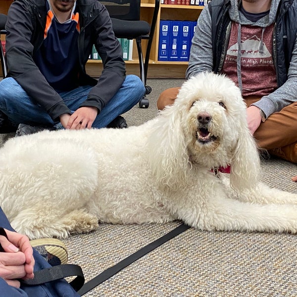 Arthur Lakes Library - 3 tips