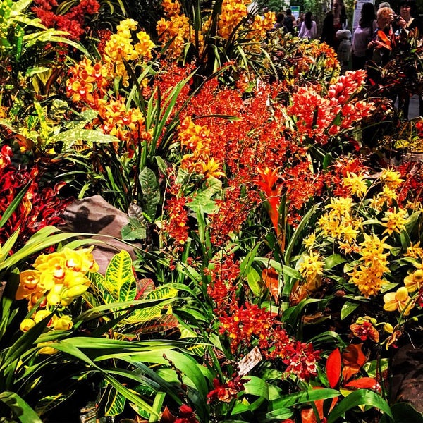 Philadelphia Flower Show (Now Closed) - Chinatown - Philadelphia, PA